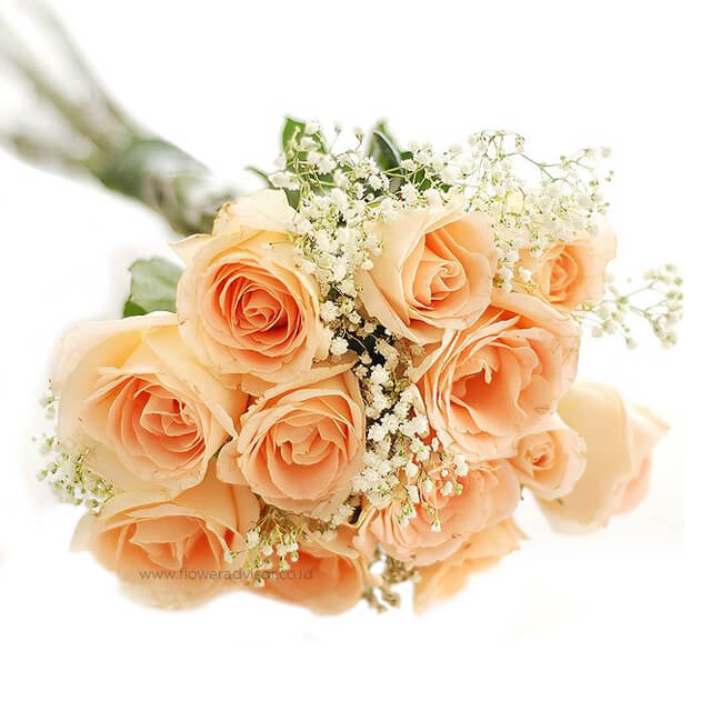 Fantastis 29+ Gambar Bunga Mawar Peach - Gambar Bunga Indah